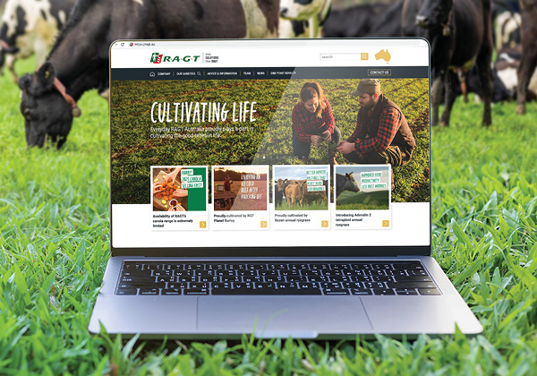 Case Studies - Zebra Direction